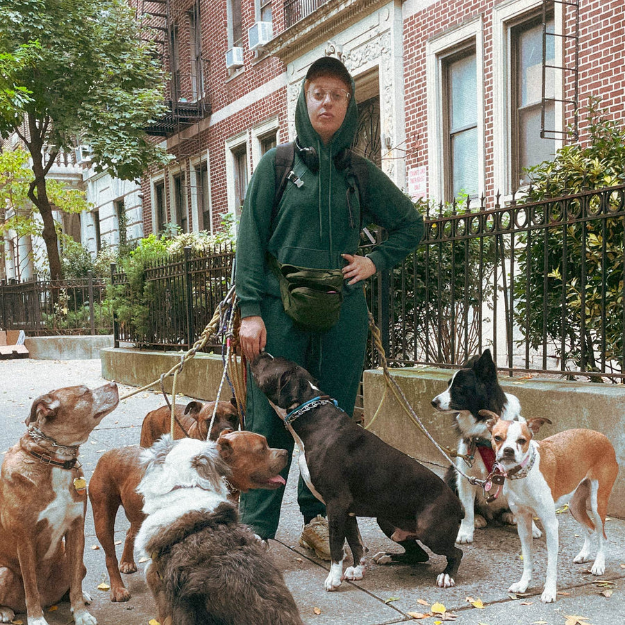 Inside Out French Terry Jogger - Phantom Pine – tomboyx